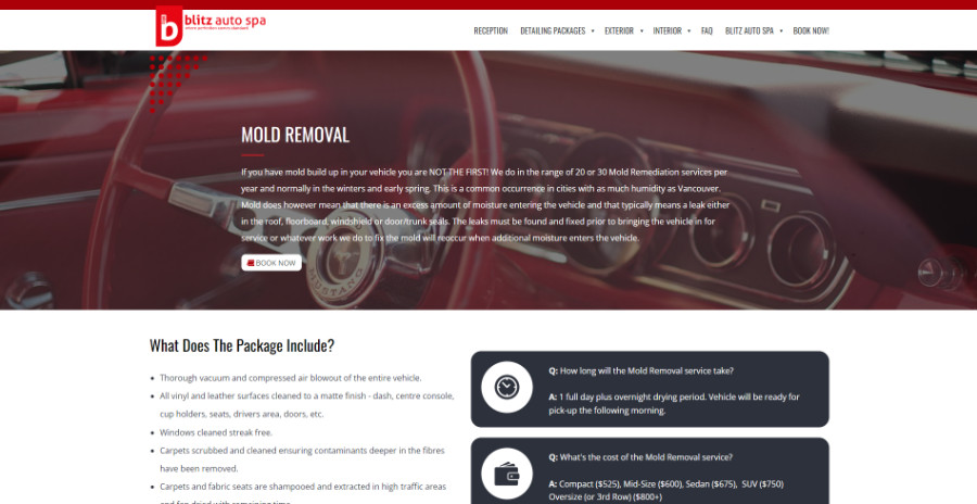 Mold Removal Service | Blitz Auto Spa Automotive Detailing Vancouver